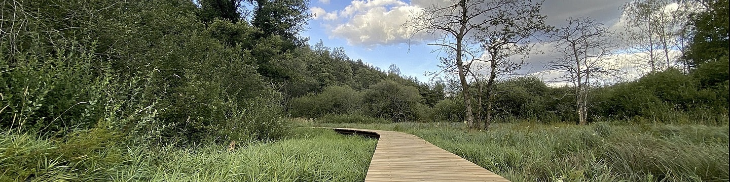 Projet : Concours Photos - Parc du Châtelet | Commune de Habay